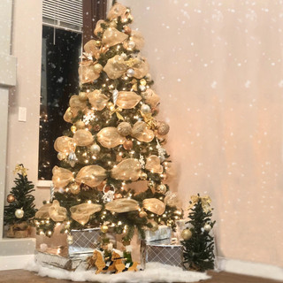 Grapevine Trees With Lights