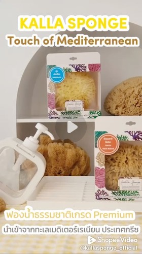 kallasponge_official on Shopee Video